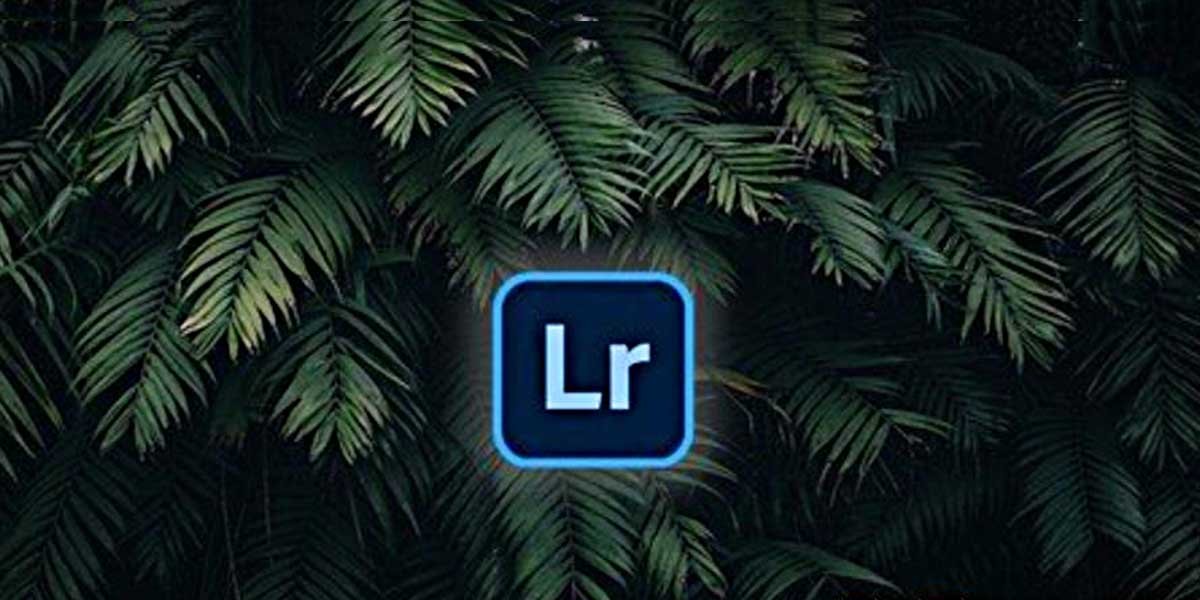 - Adobe Lightroom CC Course