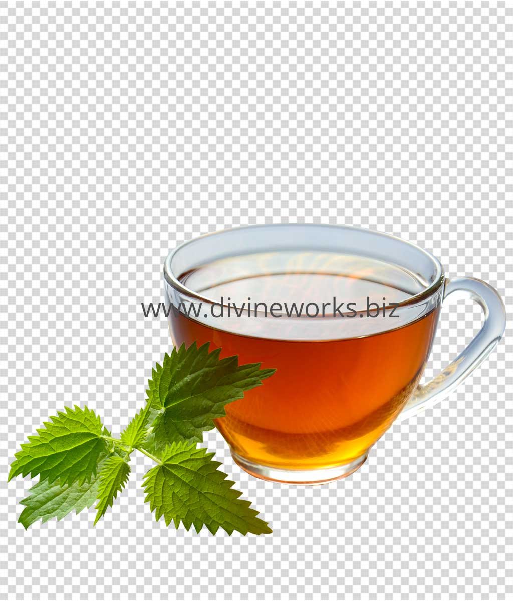Transparent Cup of Tea PNG - Transparent Cup of Tea
