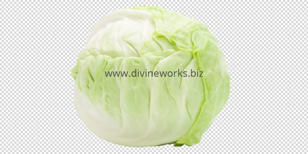 Transparent Cabbage Png - Transparent Cabbage Png