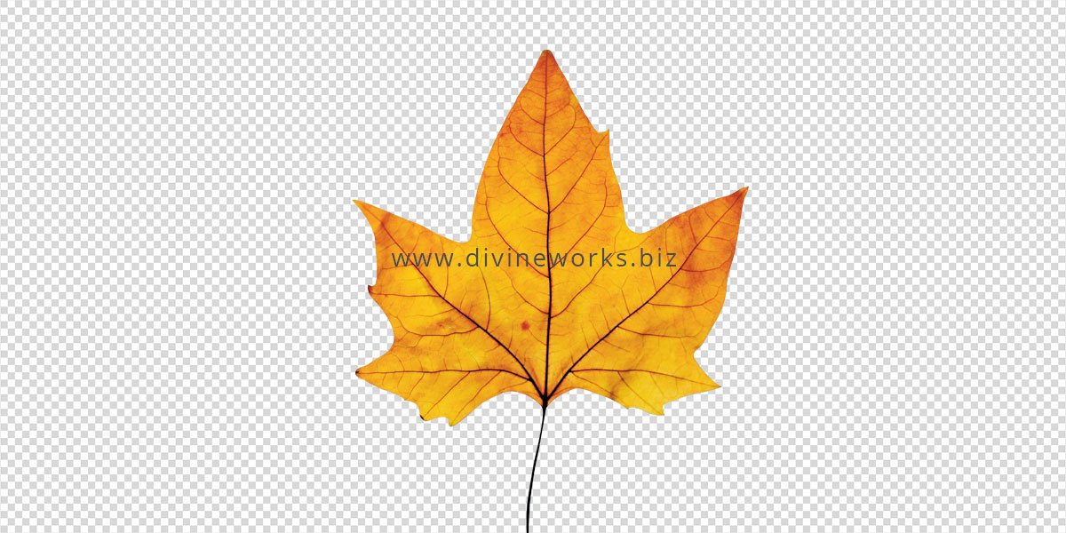 Golden Leaf Png Image - Golden Maple Leaf Png